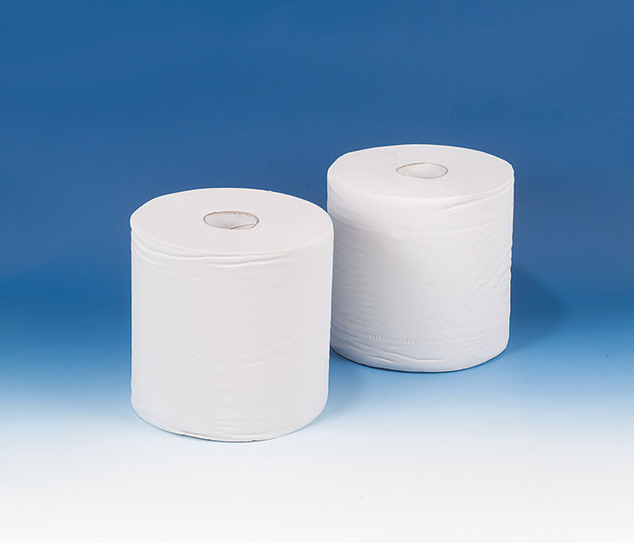 Bergin Werkzeugmärkte GmbH Putzpapier 2 Rollen, 25,5 x 37, je 535 Blatt